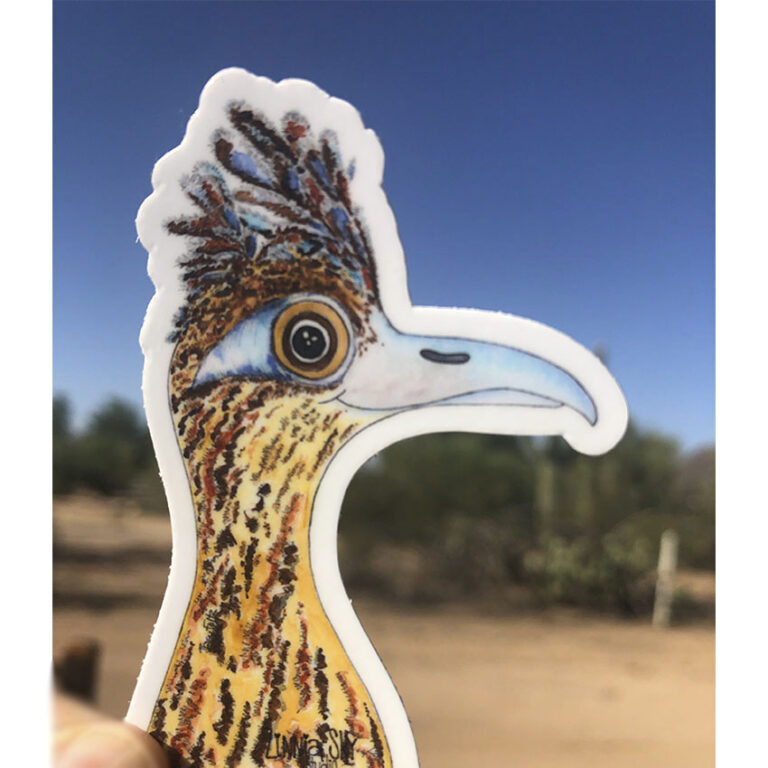 Road Runner Bird Face | Vinyl Sticker - Zinnia Sky Studio
